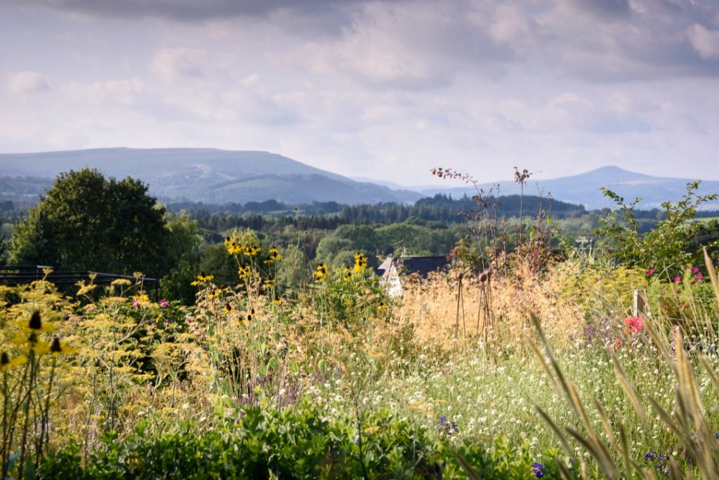 Gallery – Highfield Farm Garden