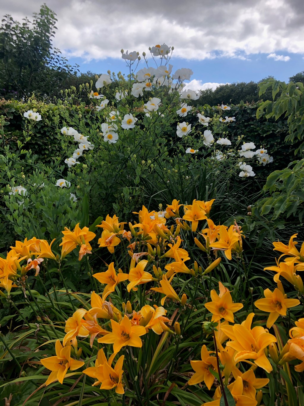 Highfield Farm Garden – Garden open for Charity