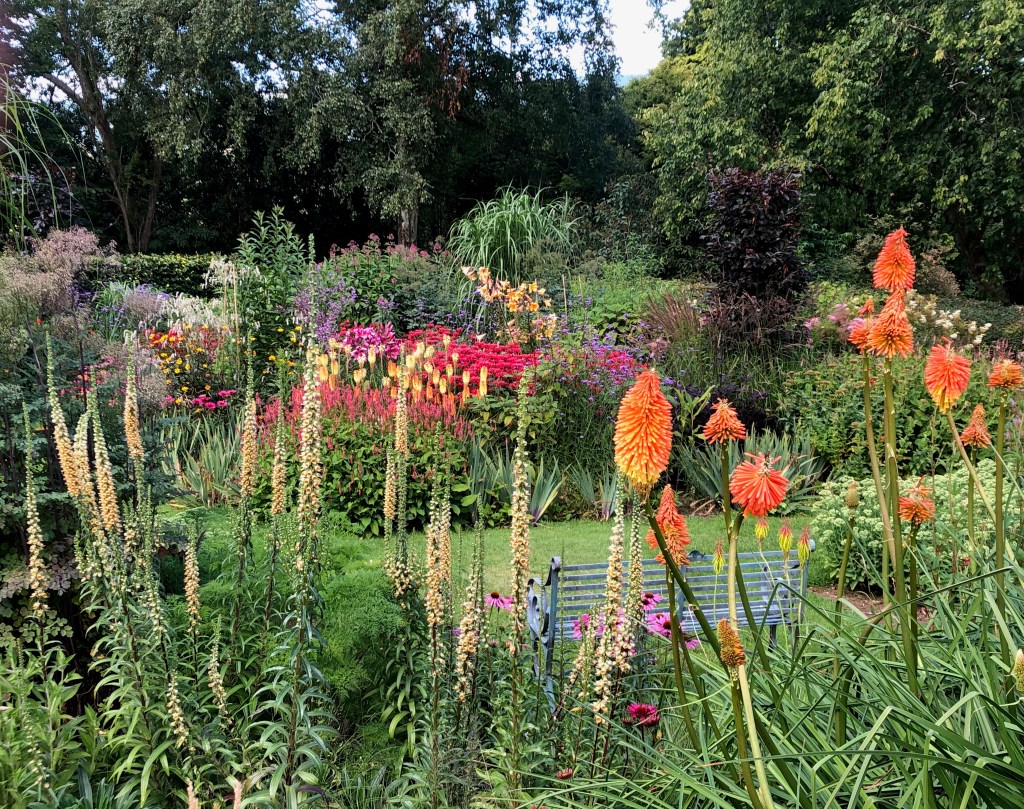 Gallery – Highfield Farm Garden