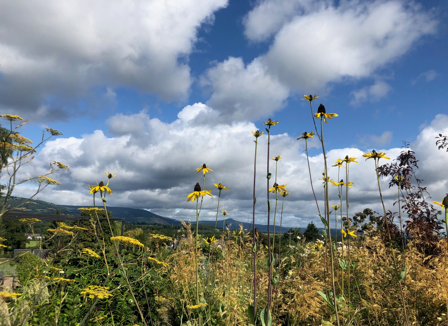 Highfield Farm Garden – Garden open for Charity