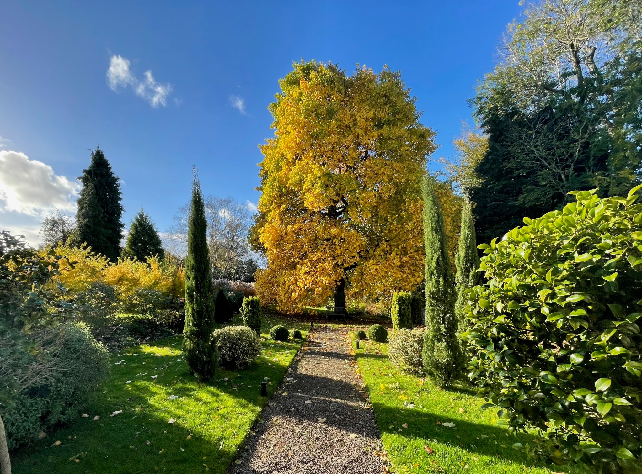 Gallery – Highfield Farm Garden