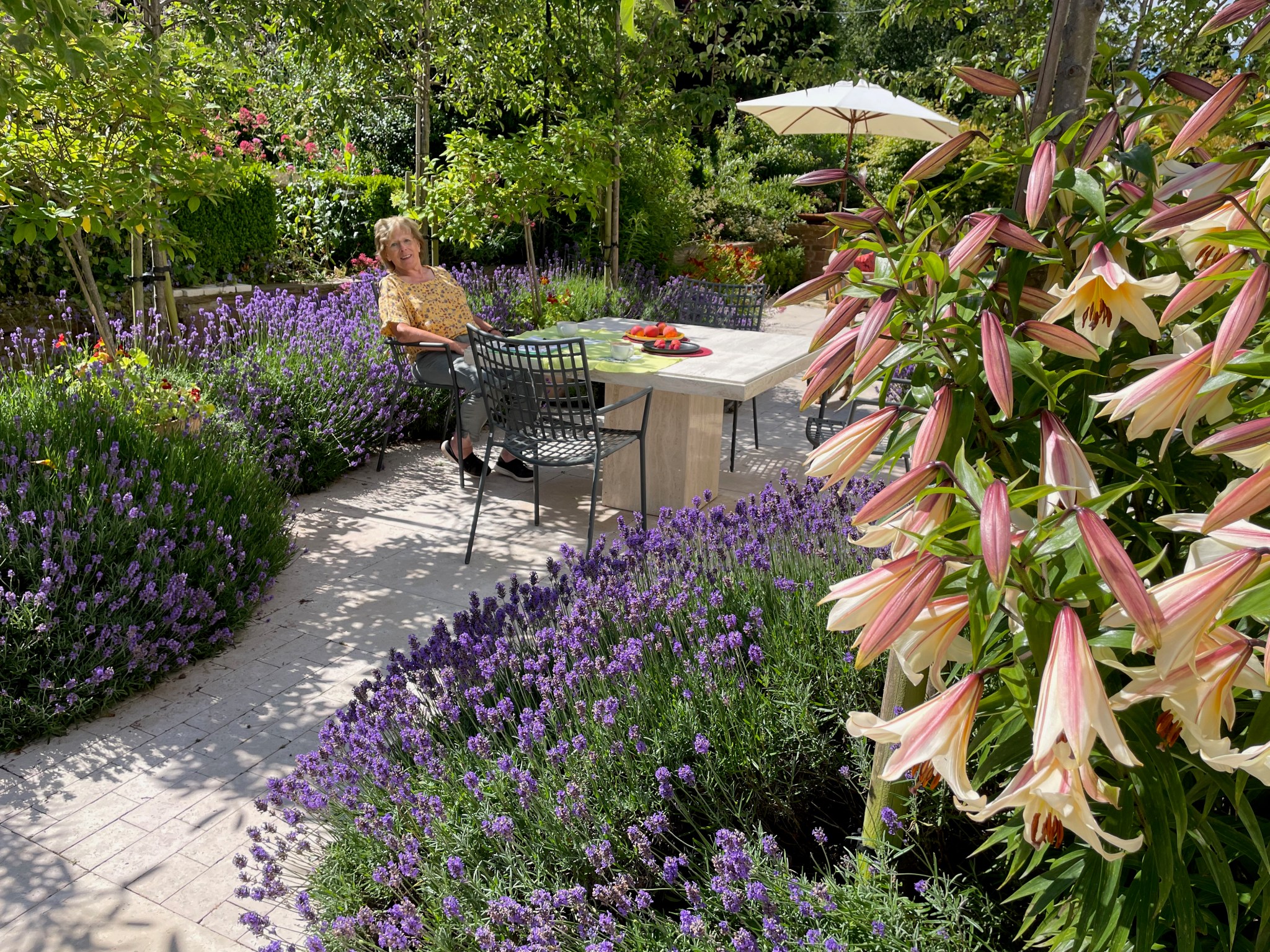 Brand New Garden – Highfield Farm Garden