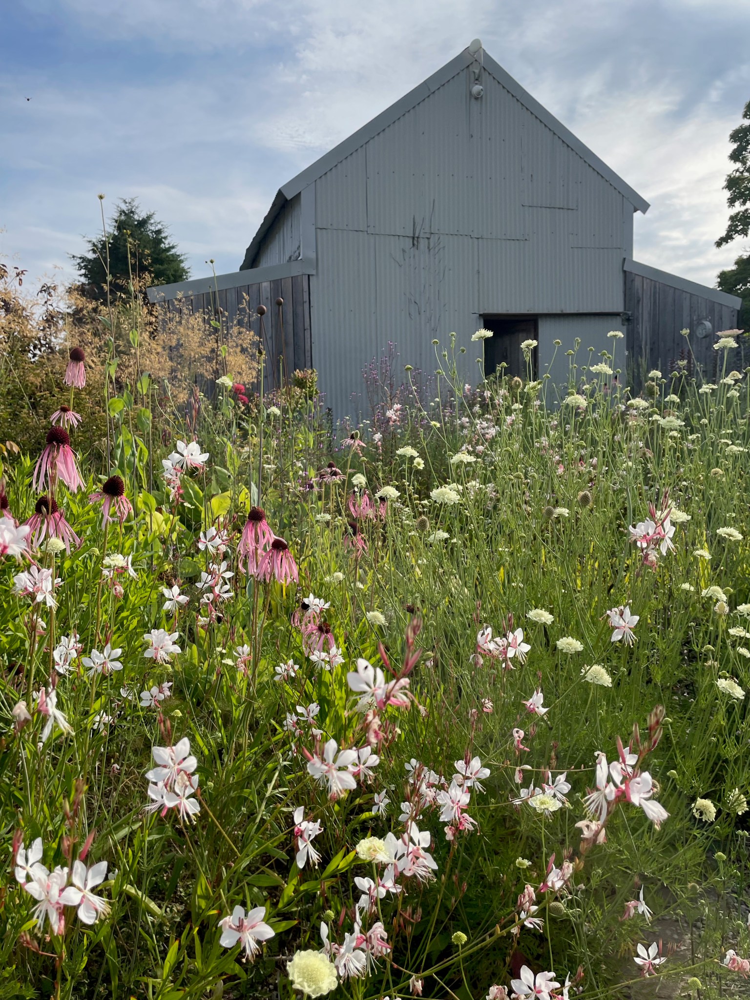 Highfield Farm Garden – Garden open for Charity