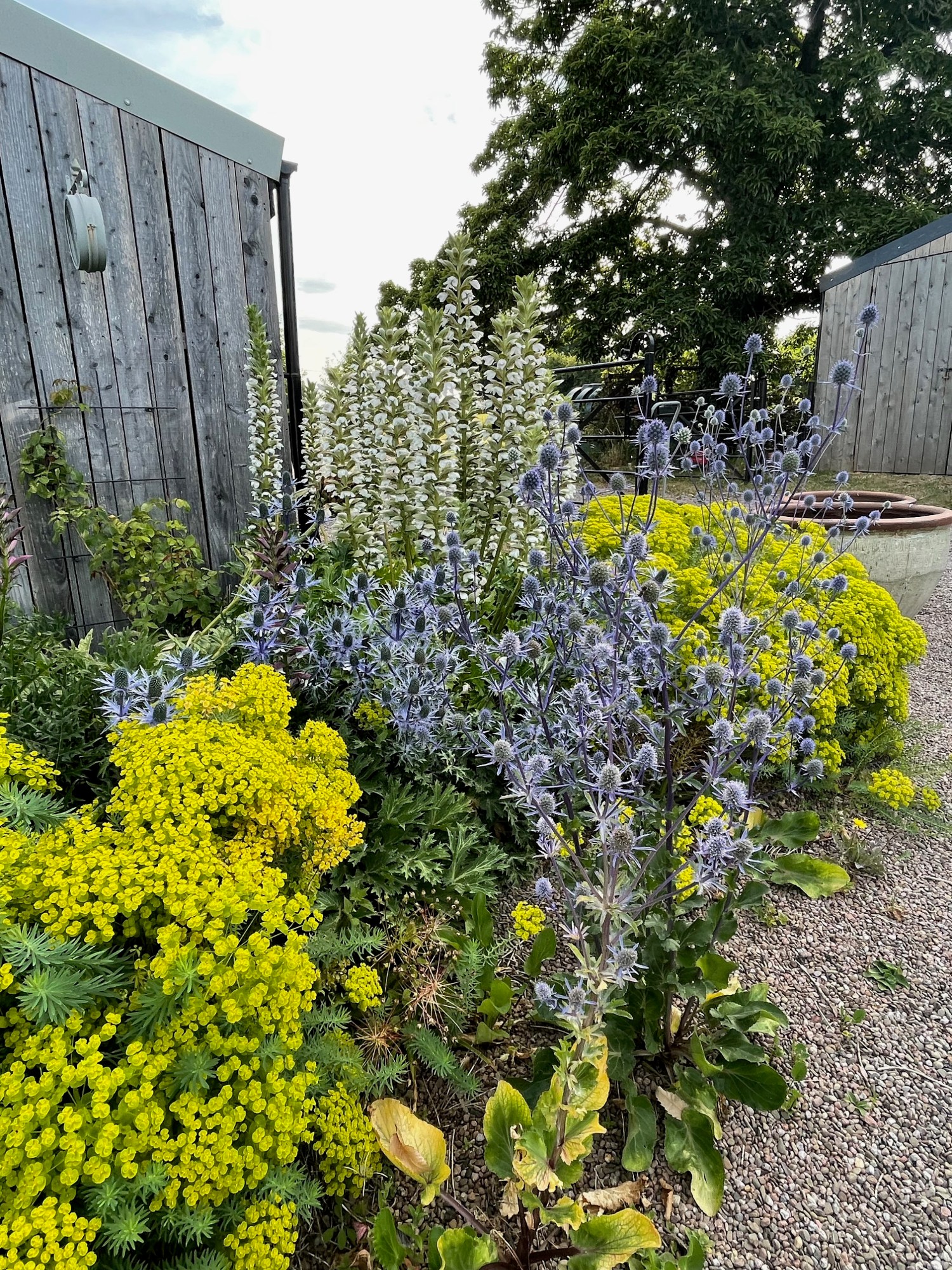 Gallery – Highfield Farm Garden