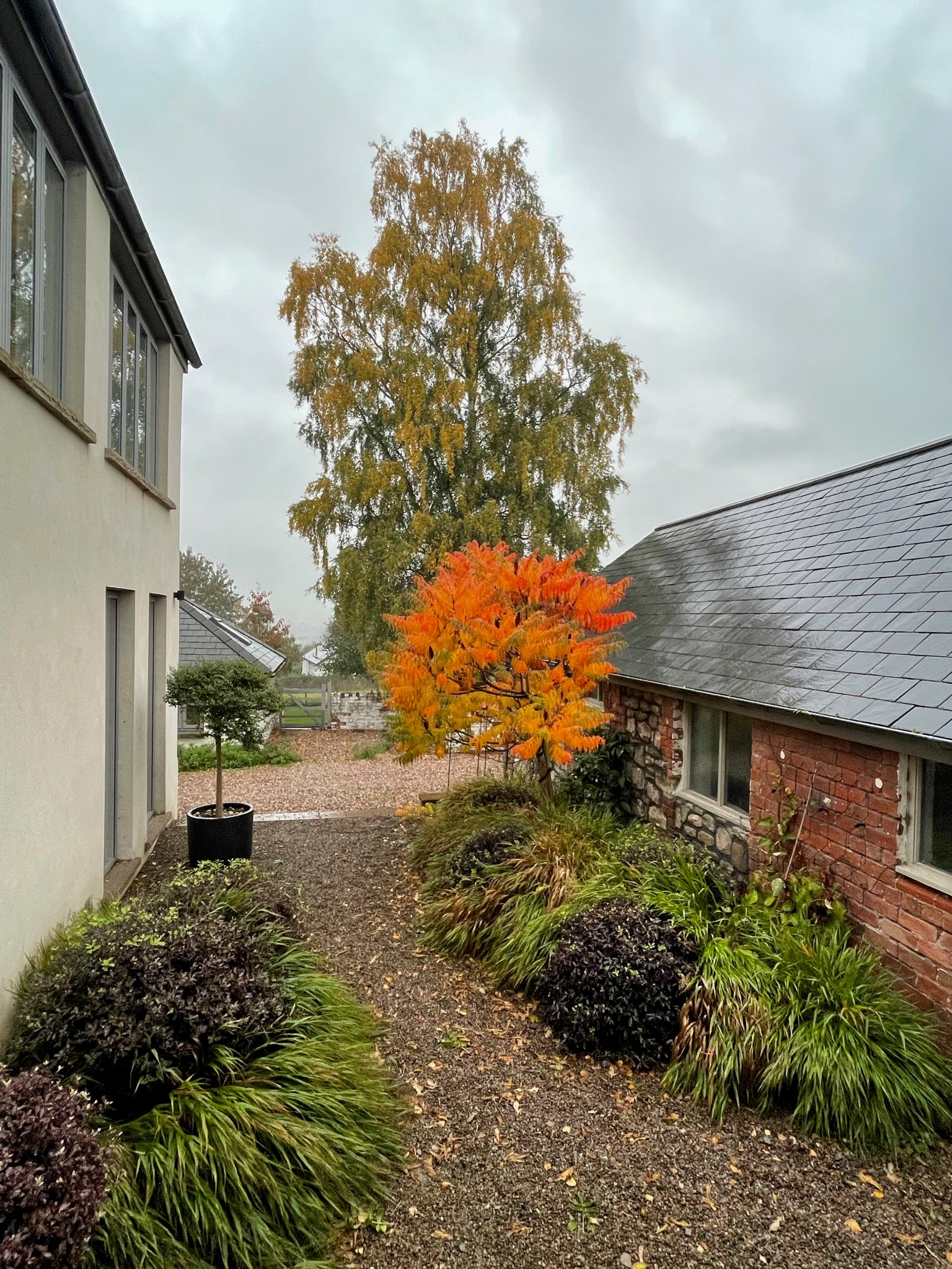 Gallery – Highfield Farm Garden