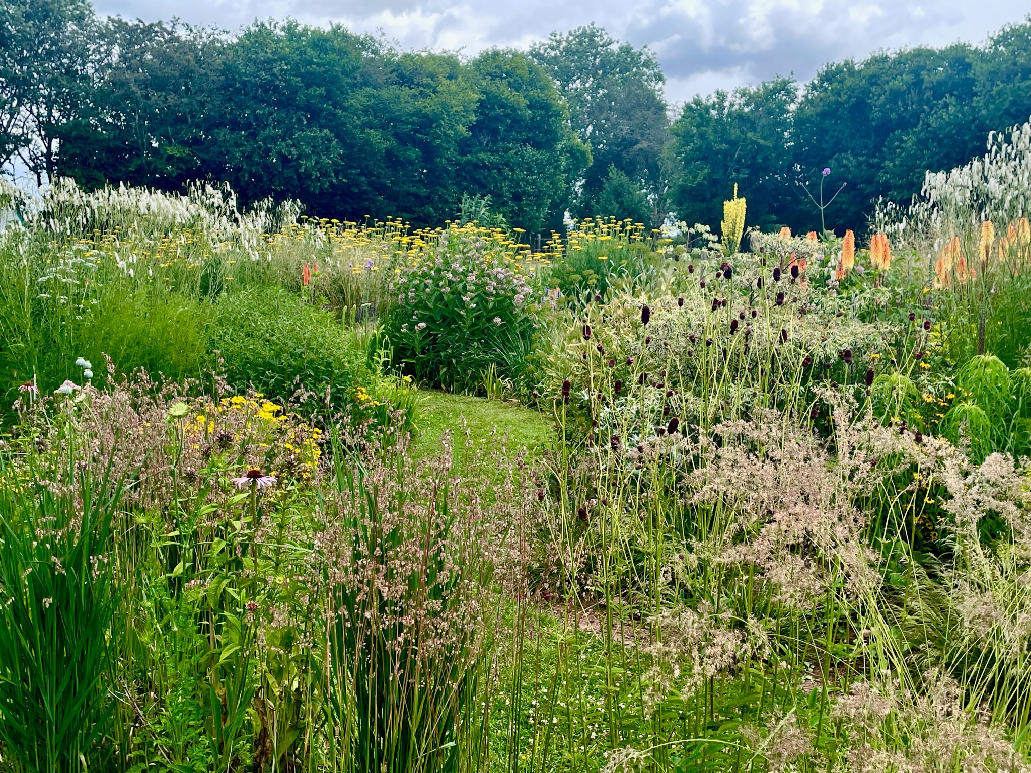 Gallery – Highfield Farm Garden