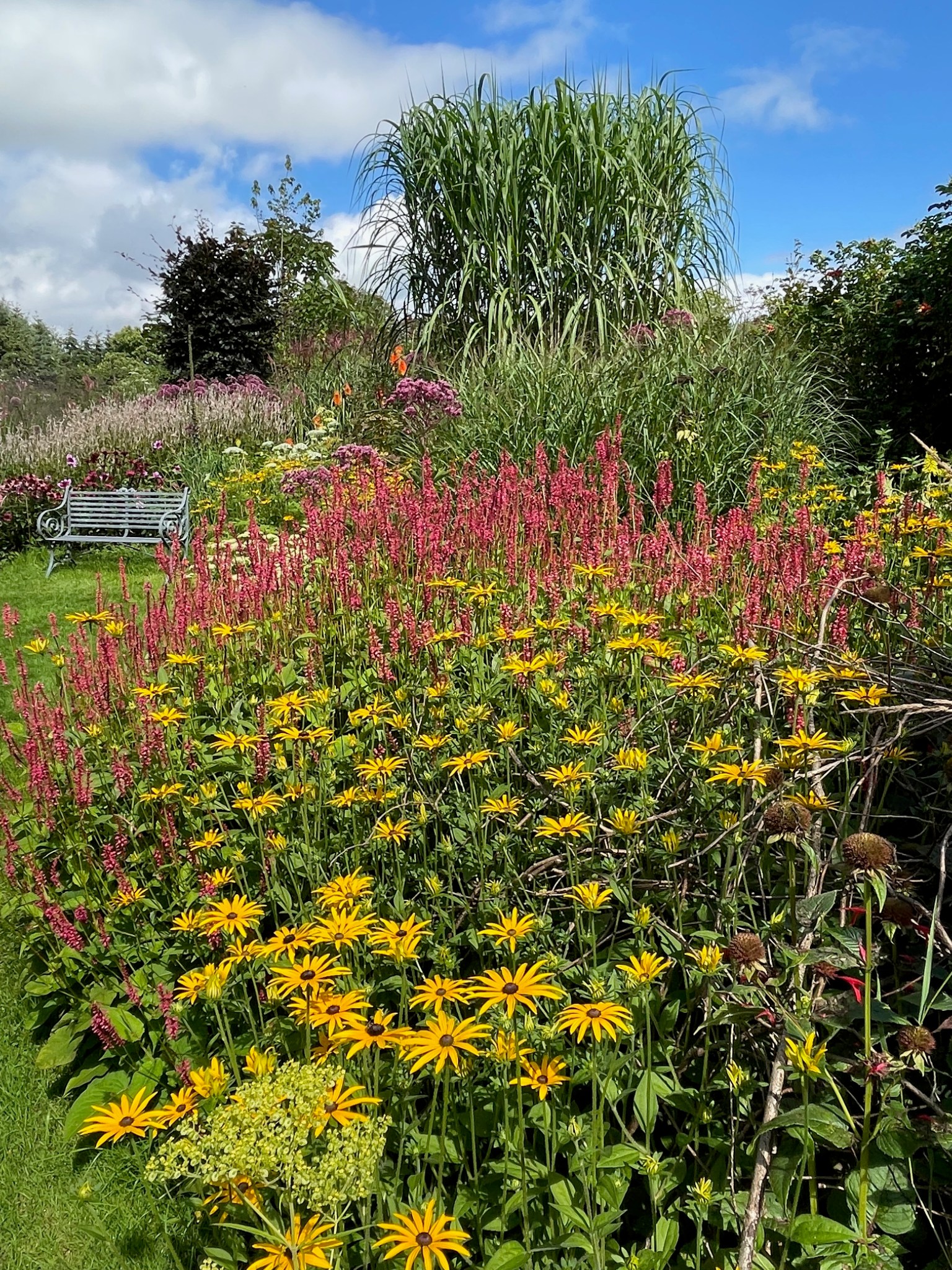 Gallery – Highfield Farm Garden