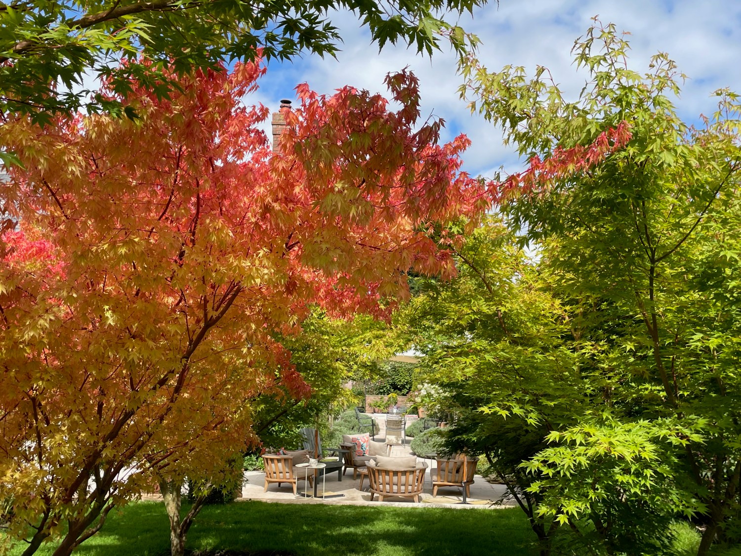 Visitors – Highfield Farm Garden