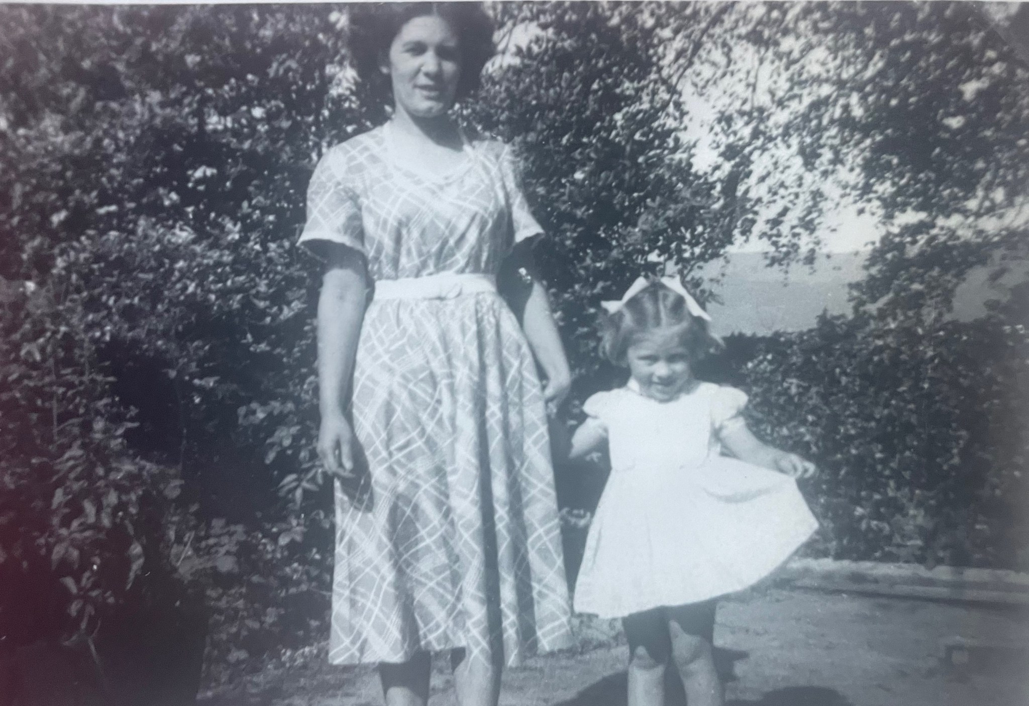 About Us – Highfield Farm Garden