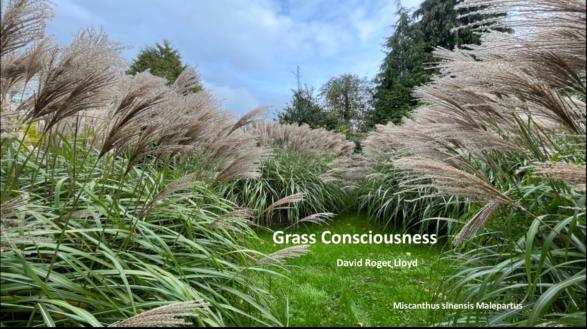 Highfield Farm Garden – Garden open for Charity